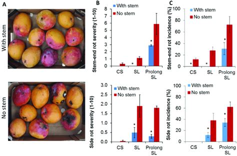 Effect Of Harvesting Practice On Stem End Rot And Side Rot Incidences Download Scientific