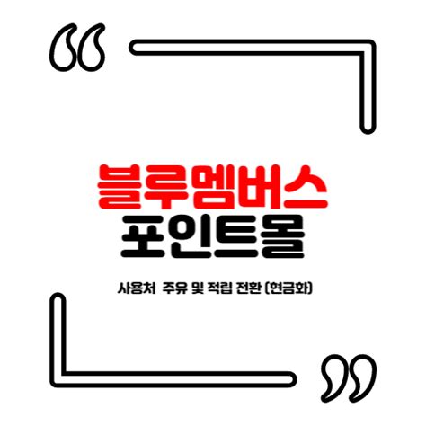 블루멤버스 포인트몰 사용처 주유 및 적립 전환 현금화 네이버 블로그
