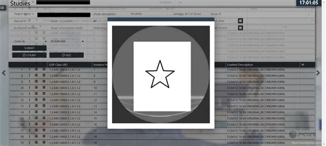 Dicom： Instructions For Installing Dcm4chee Arc Light By Dockerdocker版