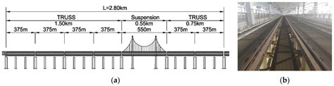 Dynamic Behavior Of Track Bridge On Serviced Long Span Roadrailway Bridge