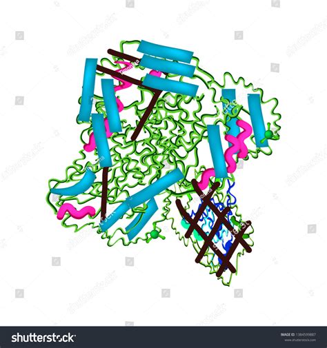 Peptide structure and pills 图片库存照片和矢量图 Shutterstock