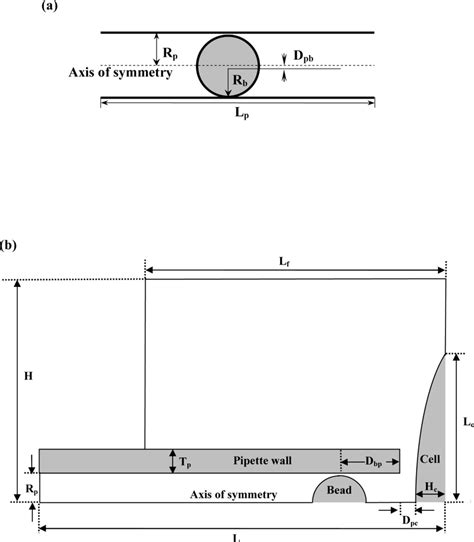 Geometric Dimensions Used In The Finite Element Simulations A Model Download Scientific
