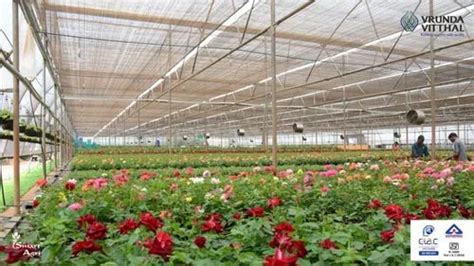 Hdpe White Nursery Shade Net For Agriculture 50 At ₹ 35 Square Meter In Vapi