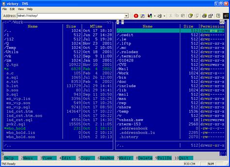windows telnet project
