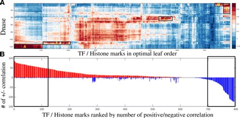 A Bi Clustering Of Tfhistone Mark Dnase Hypersensitivity Similarity