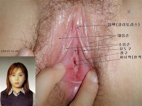 Korean Woman Pussy 야사 연예인 합성 조윤경 보지사진 내부구조 자세히 New Foto Porno Eporner