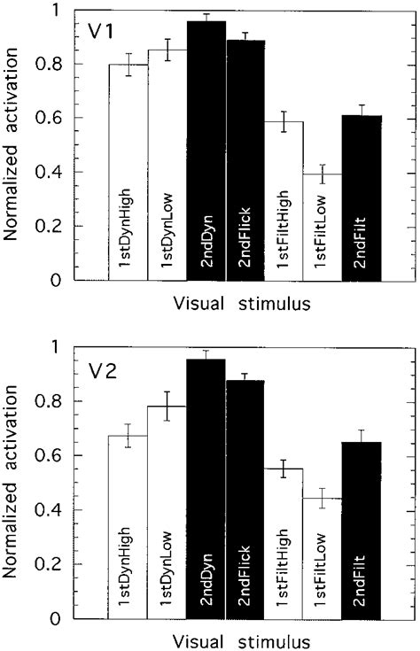 Normalized Activation Levels Elicited By Seven Visual Stimuli In Each