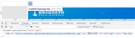 技术分享 Web自动化测试 执行 Javascript 脚本 云社区 华为云
