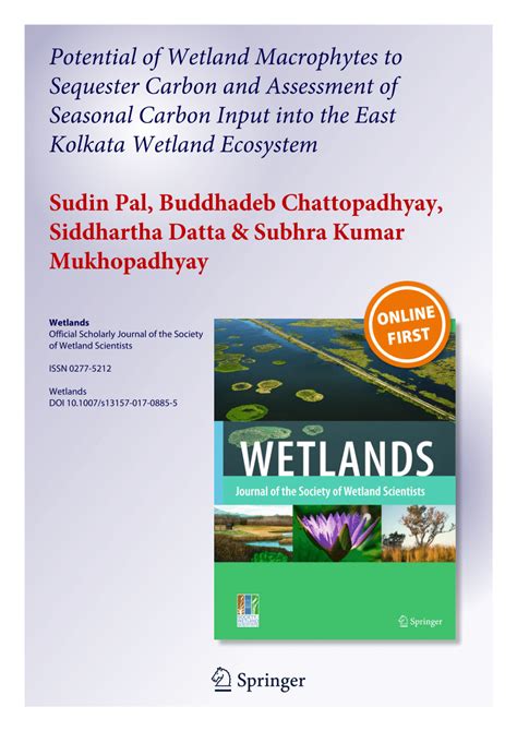 Pdf Potential Of Wetland Macrophytes To Sequester Carbon And