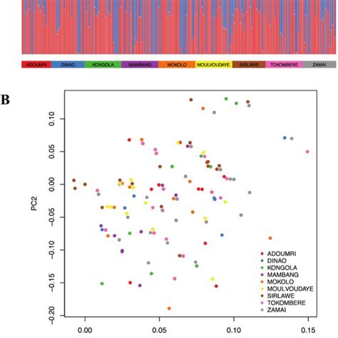 Results Of Hierarchical Population Structure Analyses Of Genetic
