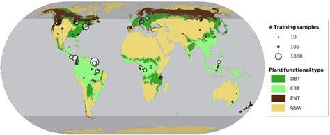 The Field And Airborne Lidar Data Used To Fit The Models In This Paper Download Scientific