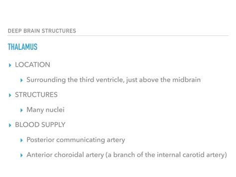 Deep Brain Structures Pdf