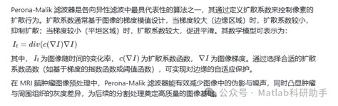 【图像处理】使用各向异性滤波器和分割图像处理从mri图像检测脑肿瘤附matlab代码约翰霍普金斯在运用matlab检测脑mri方面 Csdn博客