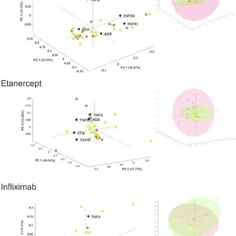 principal component analysis bi plot loadings and scores the spatial