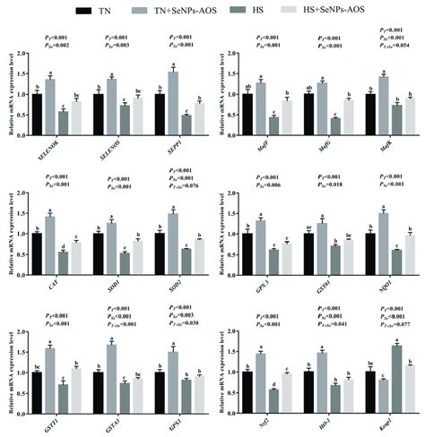 Effects Of Dietary Biogenic Selenium Nanoparticles Synthesized By