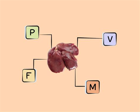 Chicken Liver Nutrients