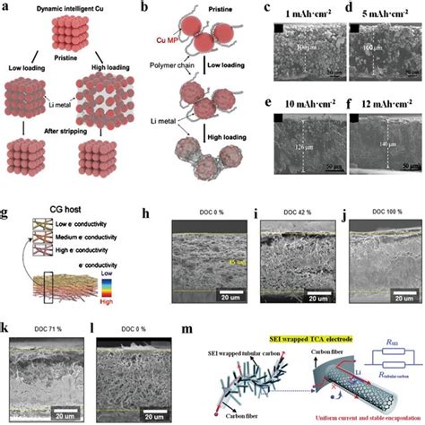 A The Simulation Of Dendrites Morphology Formed In 3d Conductive Download Scientific Diagram