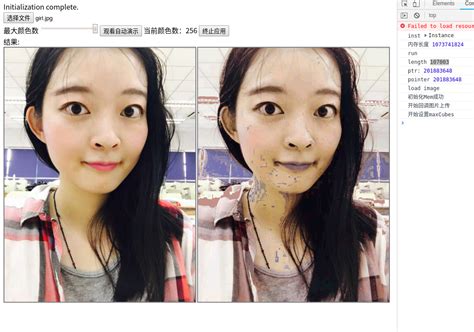 Go Webassembly初体验 一只安静的猫