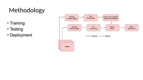 Deep Learning Final Potato Disease Classificationpptx