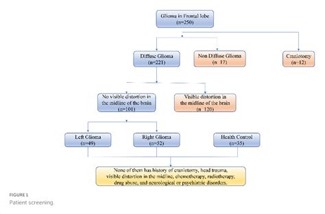Figure 1 From Synergetic Reorganization Of The Contralateral Structure And Function In Patients