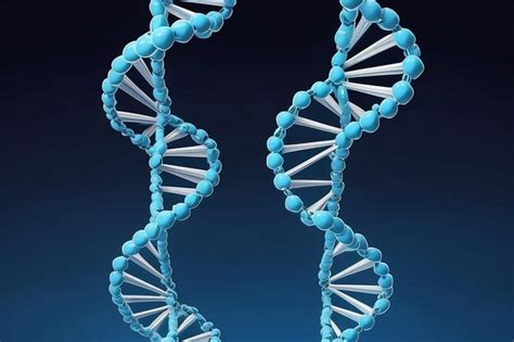 Premium Photo Isometric Digital Dna Structure In Blue Background Science Concept Dna Sequence