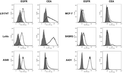 Flow Cytometry Analysis Of The Expression Of Egfr And Cea On Various Download Scientific