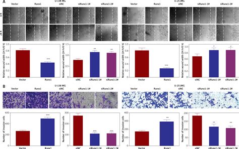Runx1 Promotes The Development Of Glioma Cells By Regulating Jak Stat