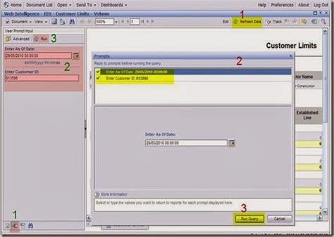 Business Objects Bo Infoview And Rich Client Fast User Manual Tutorial Part 2 View Mode