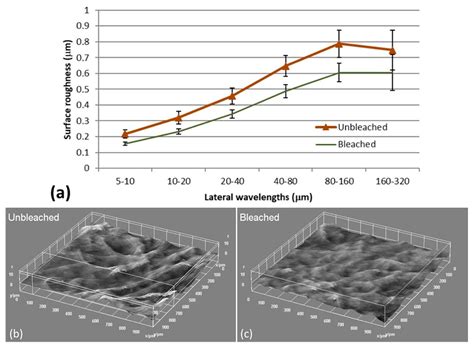 Characterization Of Porous Structures Of Cellulose Nanofibrils Loaded With Salicylic Acid