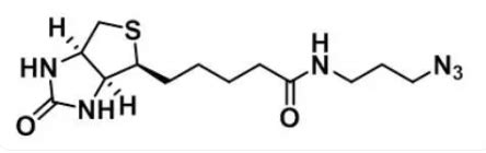 Biotin Azide CAS： 908007-17-0 N-(3-叠氮丙基)生物素胺-UDP糖丨MOF丨金属有机框架丨聚集诱导发光丨荧光 ...