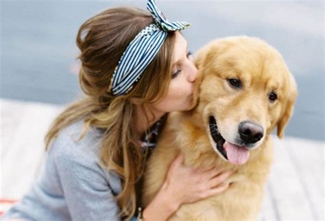 10 пород собак которые подойдут спокойному человеку