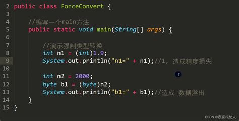 Java强制类型转换 Csdn博客