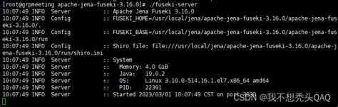 Jena服务器部署启动jena Fuseki Csdn博客