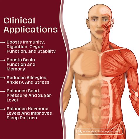 Integrative Medicine Complete Adaptogen