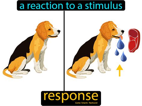 Response Easy Science Artofit