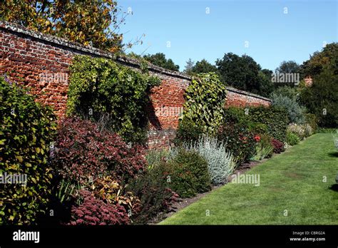 Shrubbery