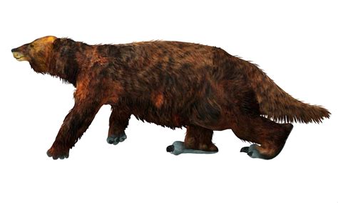 Prehistoric Giant Sloth