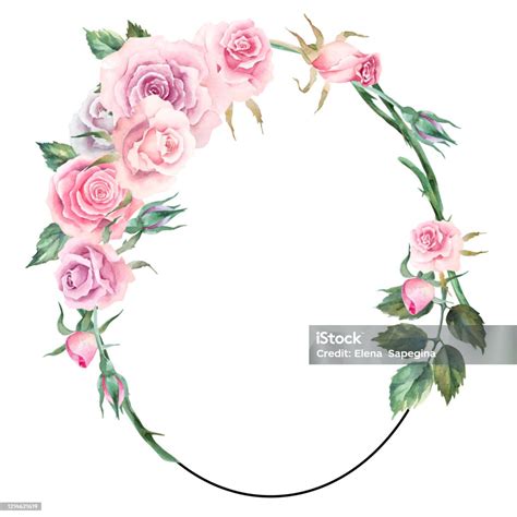 분홍색 장미 잎과 싹 수채화 손으로 그린 타원형 프레임 공간을 복사합니다 0명에 대한 스톡 벡터 아트 및 기타 이미지 0명