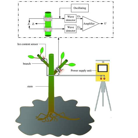 The Impedance Measurement Circuit A A Schematic Diagram Of The Download Scientific Diagram