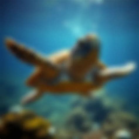 Turtle Breathing Adaptations For Aquatic Life