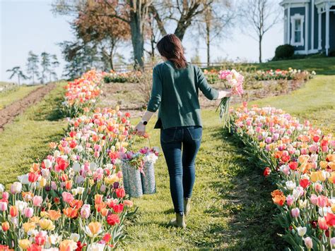 Planting Spring Bulbs