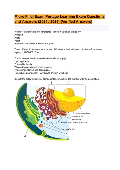 Micro Final Exam Portage Learning Exam Questions And Answers 2024 2025 Verified Answers