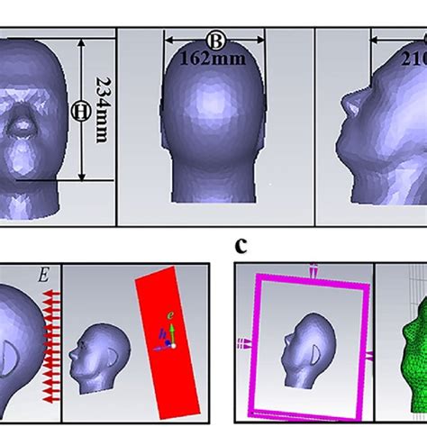 The Sam Model And Simulation Scene A Outer Shape And Size Of The Sam