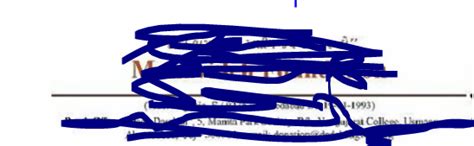 how can fetch logo in schedule internal voucher email pdf format run by hook in frappe