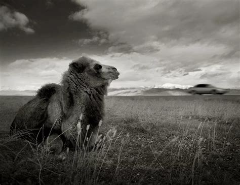 10 мистични черно бели СНИМКИ на Алтайските планини Russia Beyond