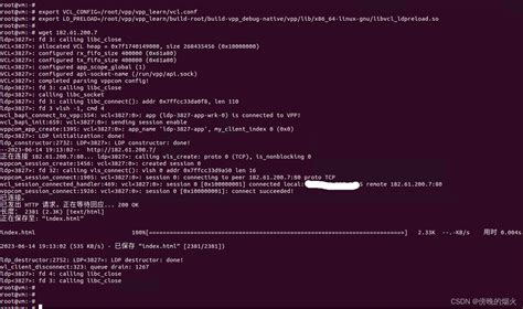Vpp Vcl Api Csdn博客 Vpp Vcl Api Csdn博客