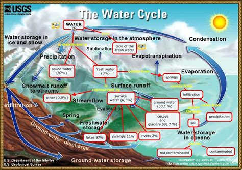 Water Cycle How Fresh Water Is Generated In The Natural Water Cycle