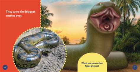 Titanoboa A First Look Lerner Publishing Group