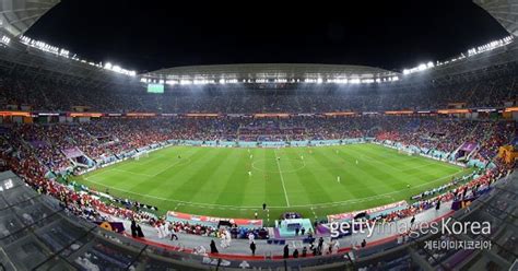 카나리아 만난 태극전사들 낯섦과 함께 했던 진짜 원정 현장 카타르