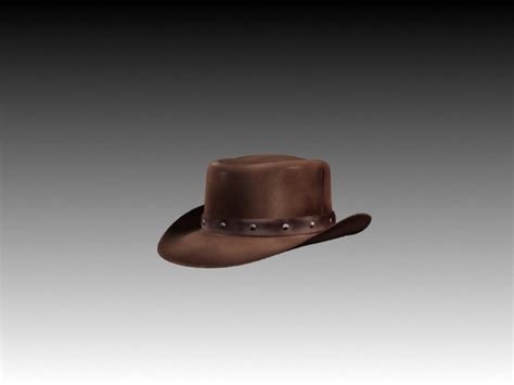 3d Django Hat